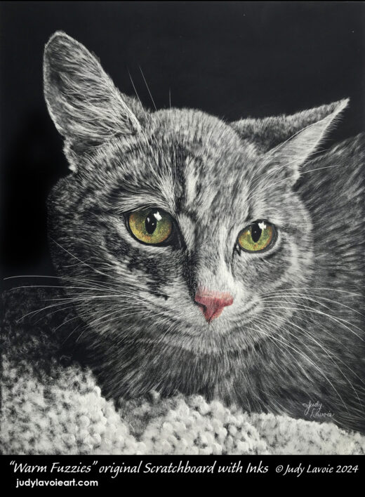 Beginners’ Guide to Scratchboards – Judy Lavoie Art